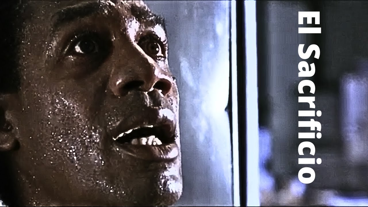 Escena Muerte de Miles Dyson - Terminartor 2 - YouTube