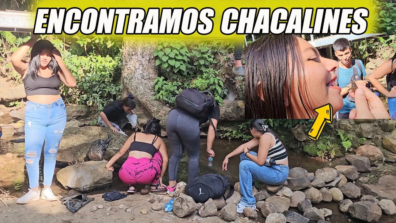 Un chacalín atravesó el labio de Delmi🤗, Encontramos un vivero de ...