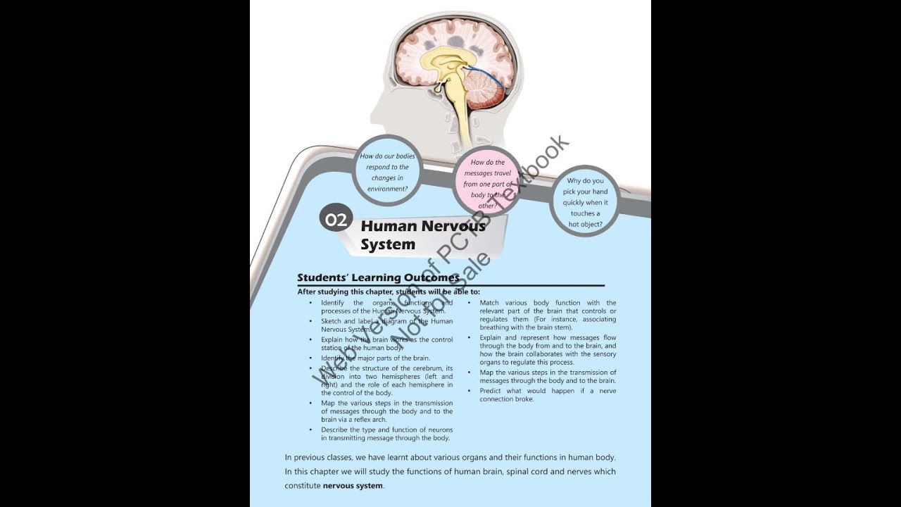 Nervous System part#2 General Science Federal Board - YouTube