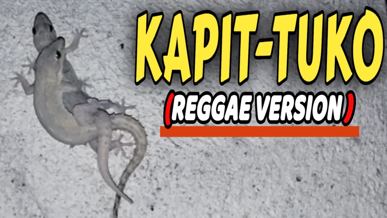 Kapit-Tuko (Official Reggae Lyric Video) – Ang Pambansang Hugot ng mga ...