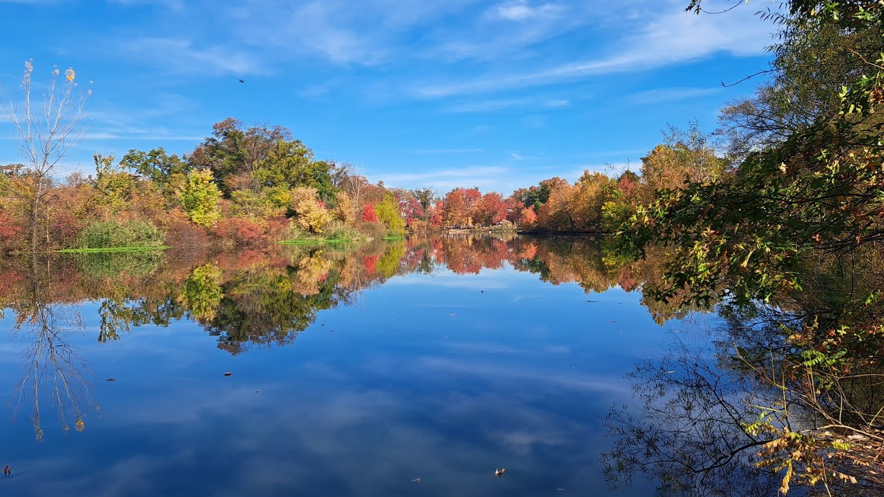 Autumn in NJ, America 🍂 (Best Fall Foliage) - YouTube