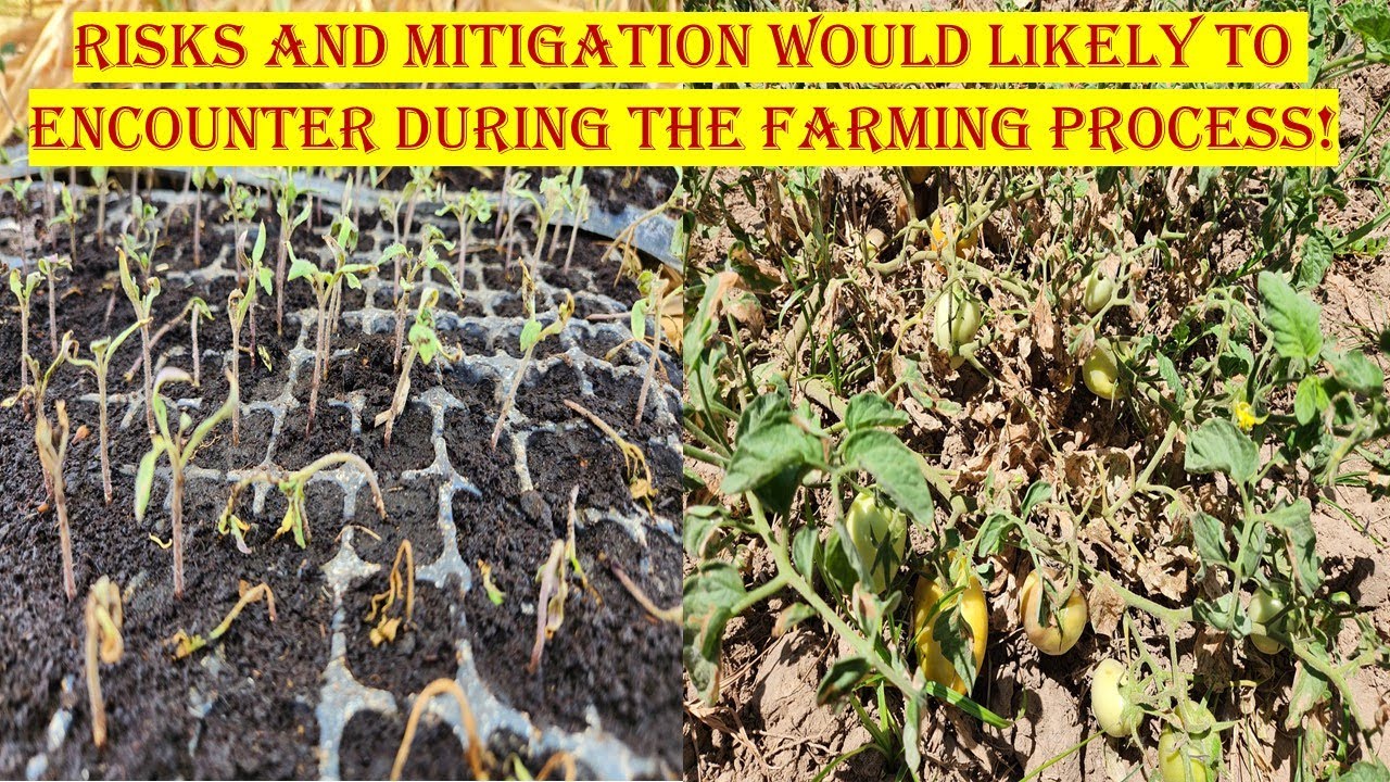 What Are The Possible Threats A farmer Would Likely To Encounter At ...