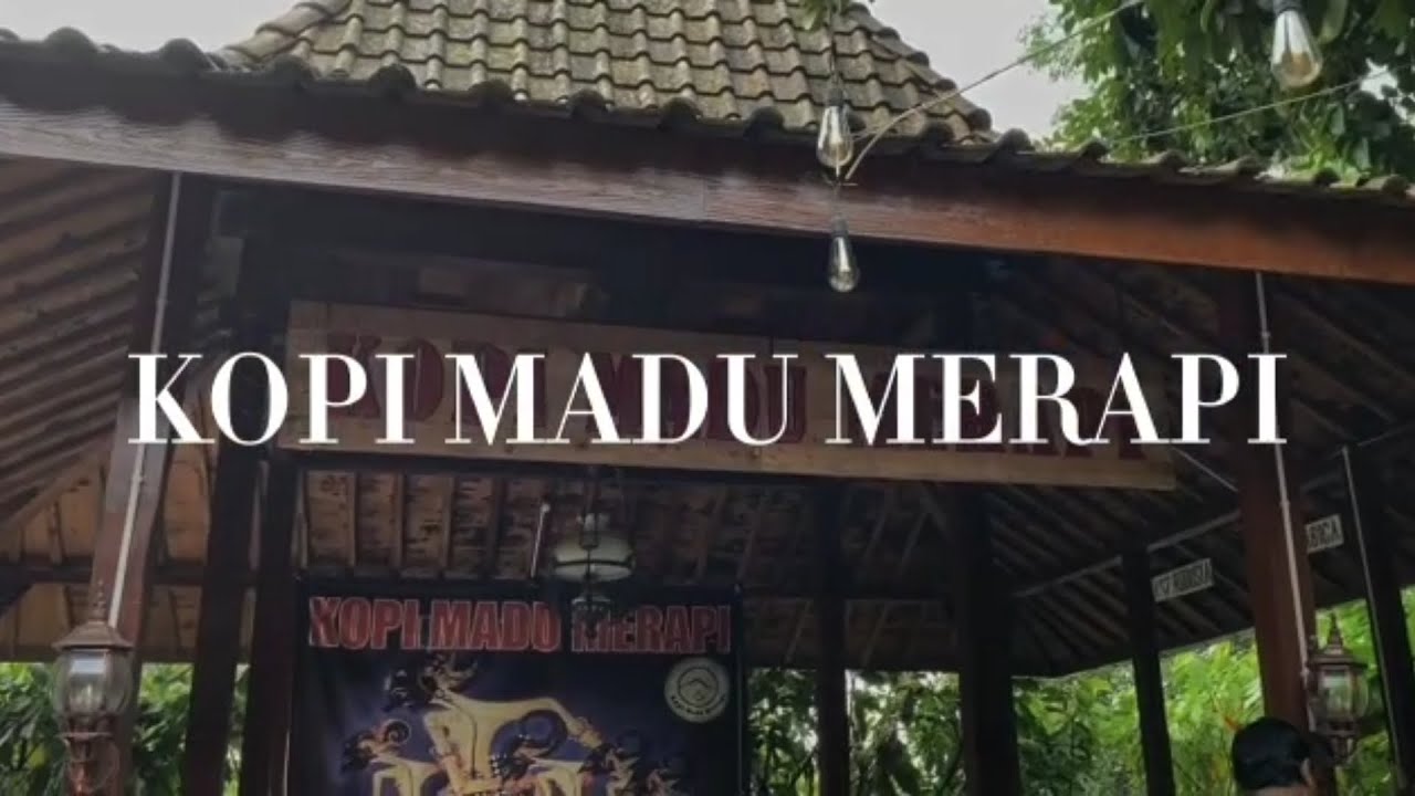 Kopi Madu Merapi di Desa Wisata Pentingsari Yogyakarta - YouTube