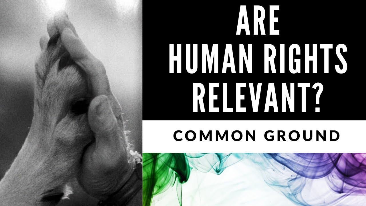 Common Ground S1E2: The Relationship Between Human and Other Animals ...