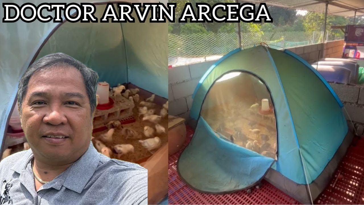 Beautiful View Big Farm Feeding Time Doc Arvin Arcega 2025 - YouTube