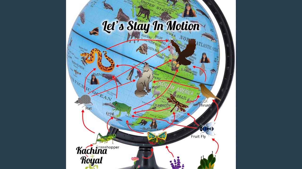 Lets Stay In Motion - YouTube