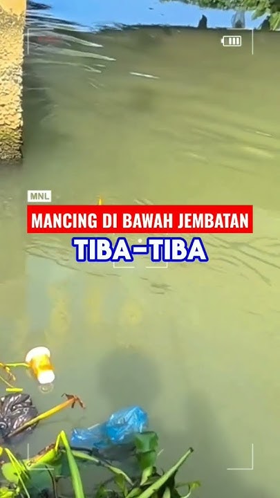 Mancing ikan sekali lempar umpan langsung di sambar bikin kaget #shorts #mancing - YouTube