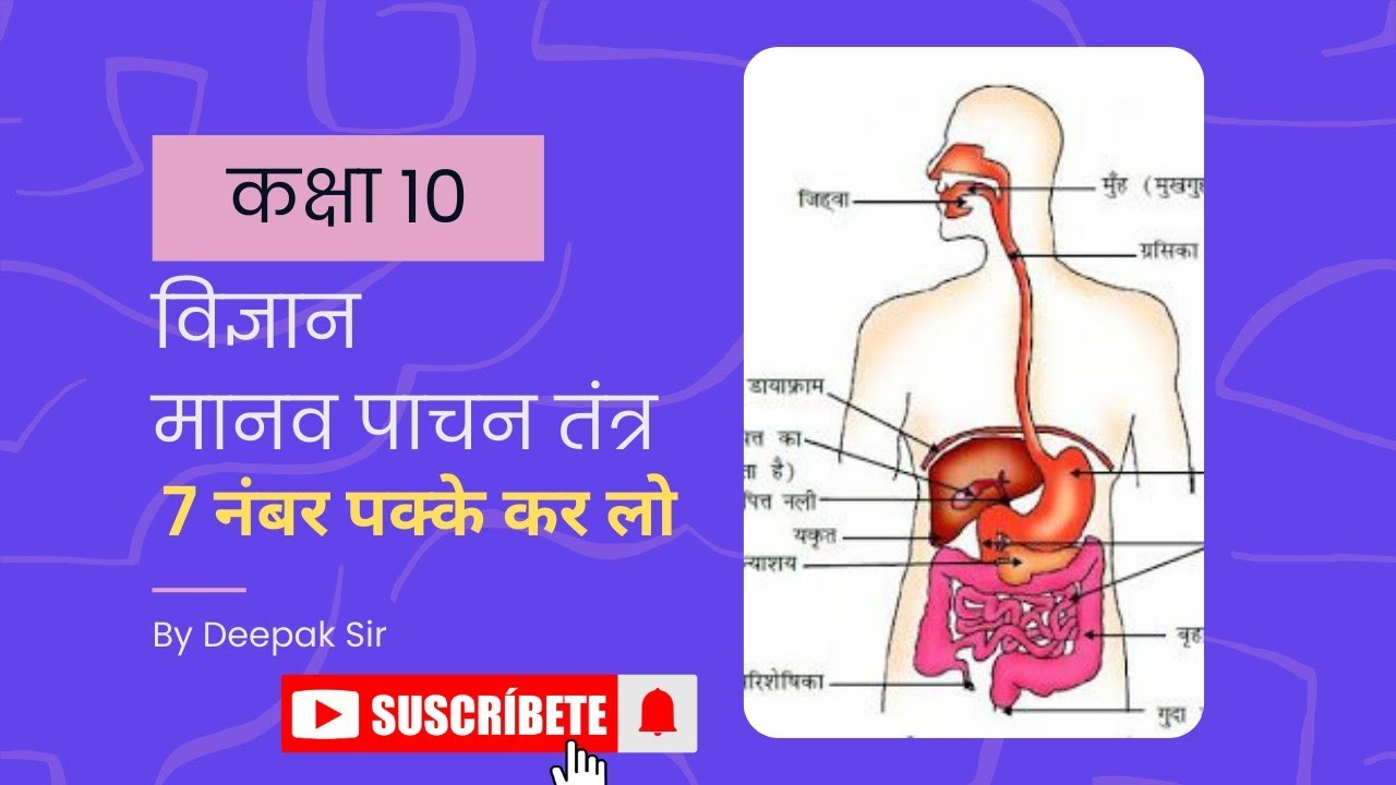 HUMAN DIGESTIVE SYSTEM CLASS 10th SCIENCE || MANAV PACHAN TANTRA CLASS ...