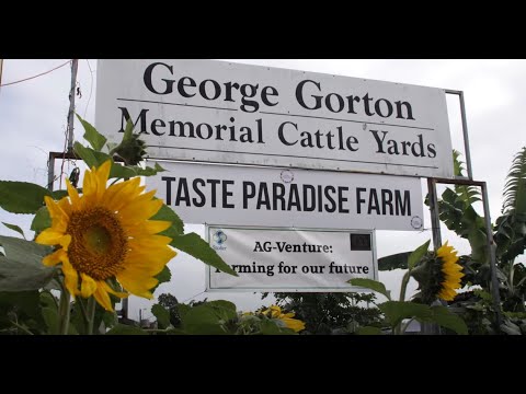 AG-Venture: Farming For Our Future - YouTube