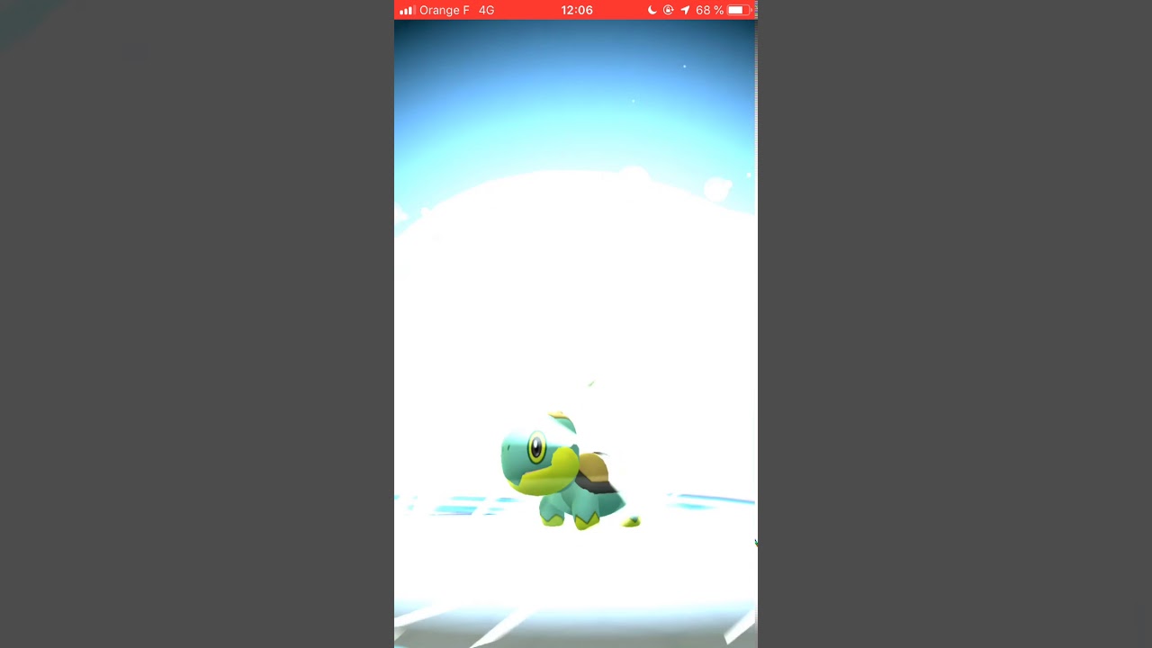 Évolution de tortipouss shiny ⭐️ POKÉMON GO - YouTube