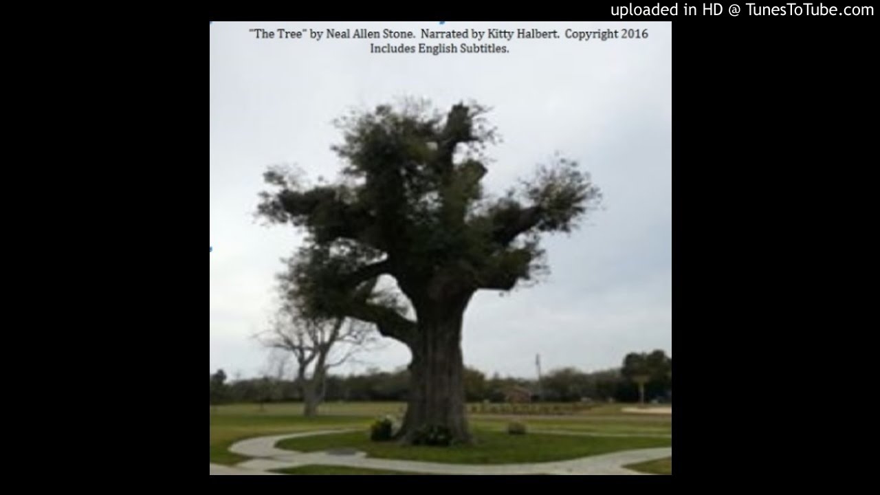 The Tree With Sound Effects - YouTube