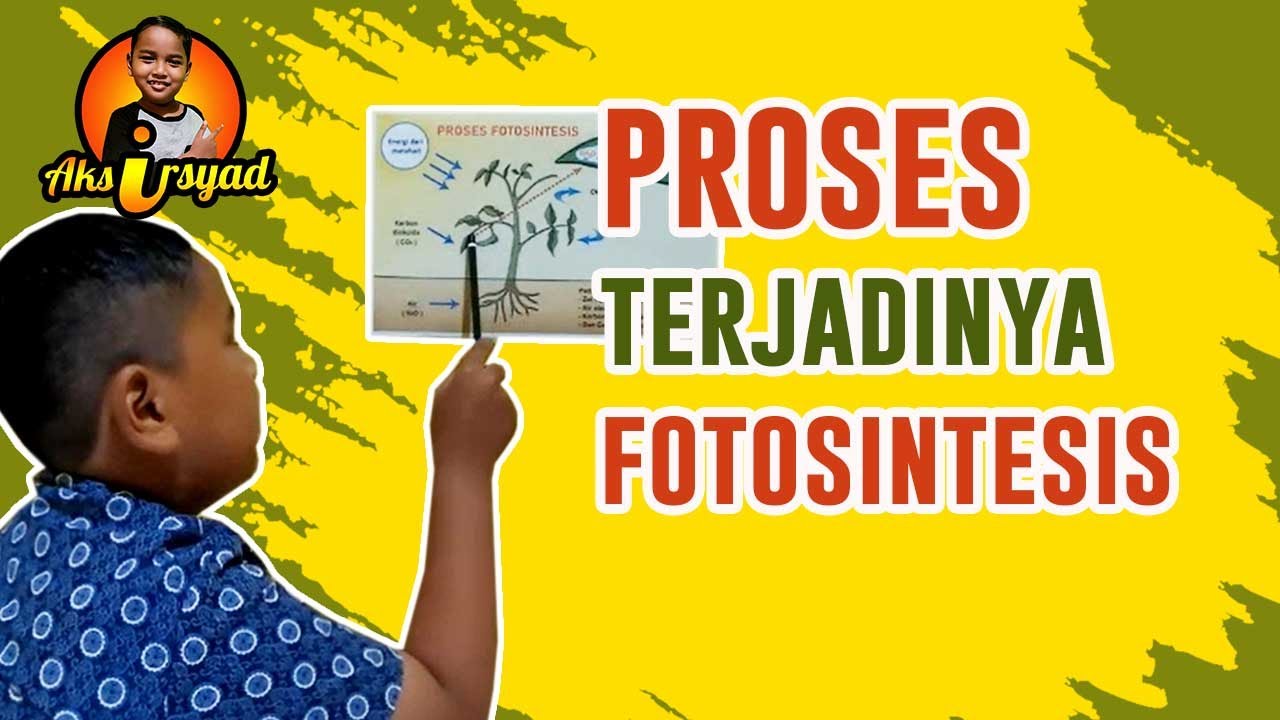 Tugas Bahasa Indonesia Kelas 3 SD Presentasi Proses Terjadinya ...