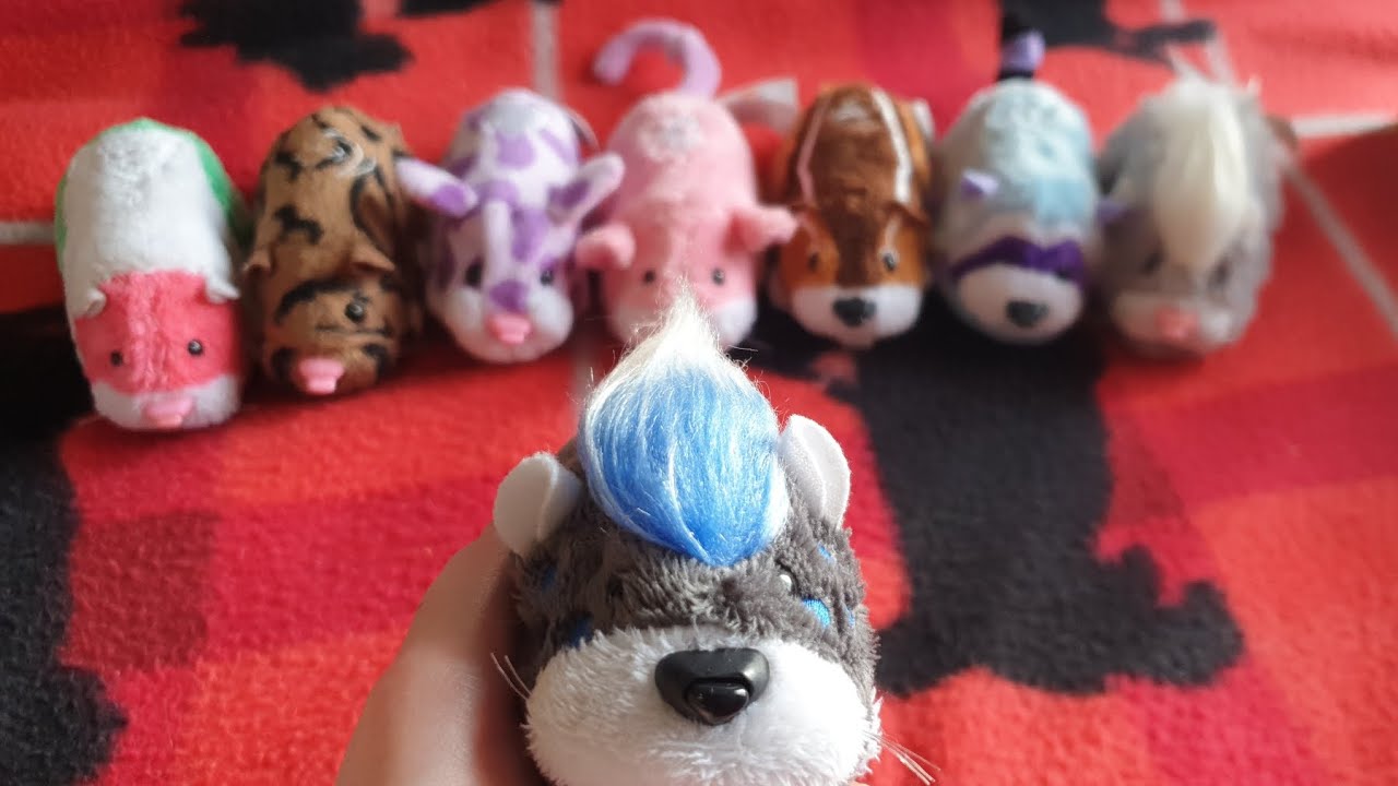 Zhu Zhu Pet Review - Luigi, Cappuccino, Forest, Heidi, Scout, Nutters ...