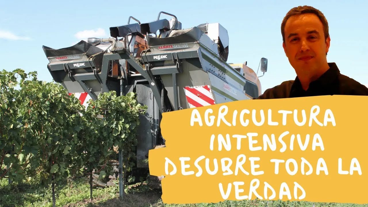 🚜Agricultura Intensiva ️Agricultura INTESIVA y extensiva ️Las claves de ...