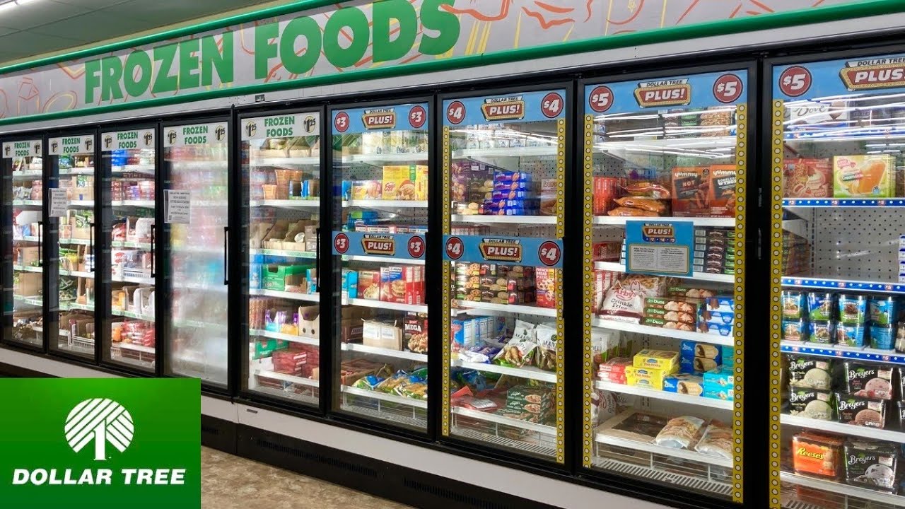 DOLLAR TREE SHOP WITH ME FROZEN FOODS ICE CREAM MEATS SNACKS FOOD ...