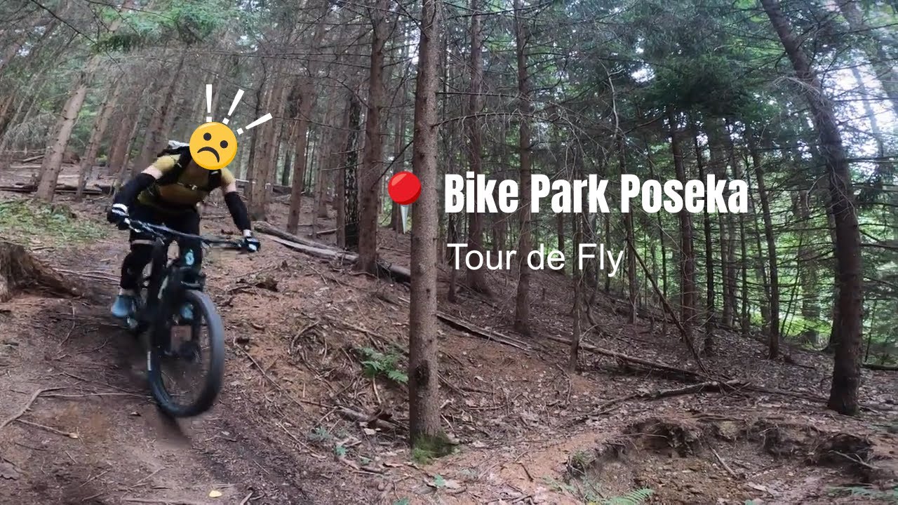 Bike Park Poseka 2.0 | Bica kuha, DH projekt in Ringlšpil | Tour de Fly ...
