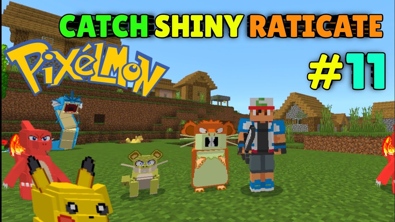 I catch “Shiny Raticate" 😱 in Pixelmon mcpe in episode 11 hindi - YouTube
