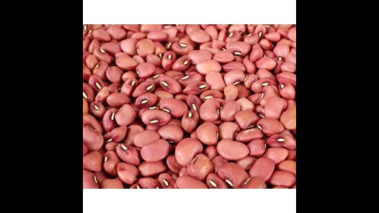 Red Cow Peas Destoner - YouTube