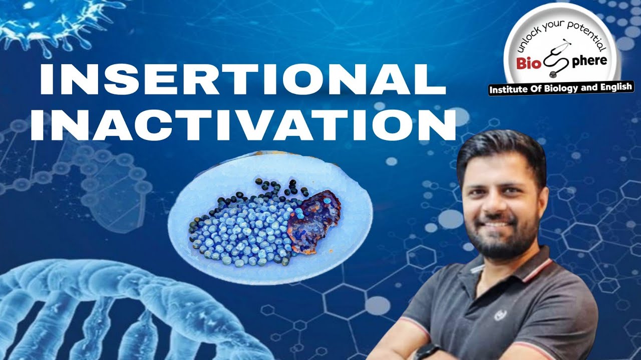 Insertional inactivation - YouTube