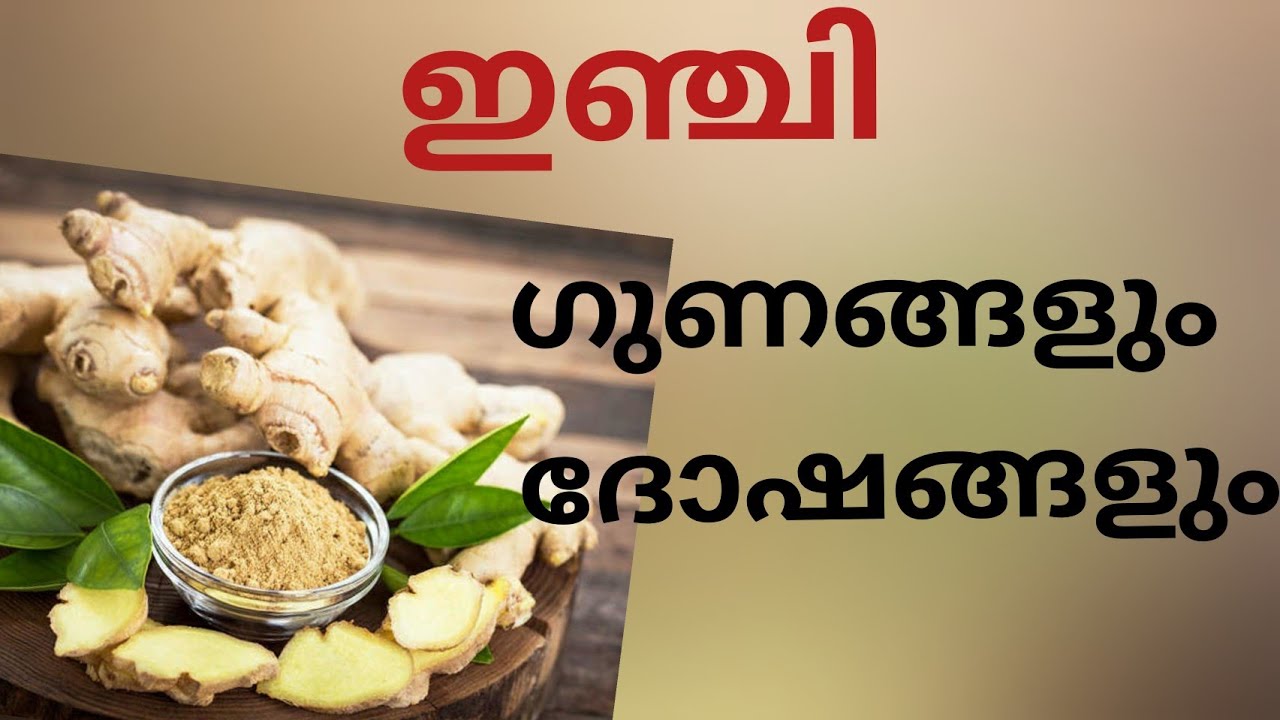 ഇഞ്ചി - ഗുണങ്ങളും ദോഷങ്ങളും ; Ginger - Advantages & Disadvantages - YouTube