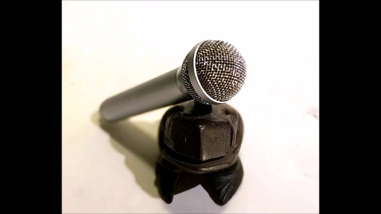 RCA SK46 AKG D12 Beyer M160 Oktava ML51 SABA SM30 Rauland 30s ART Tube ...