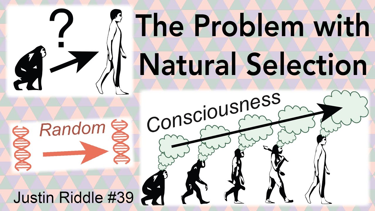 #39 – The Problem with Natural Selection: exploring modern mechanisms ...