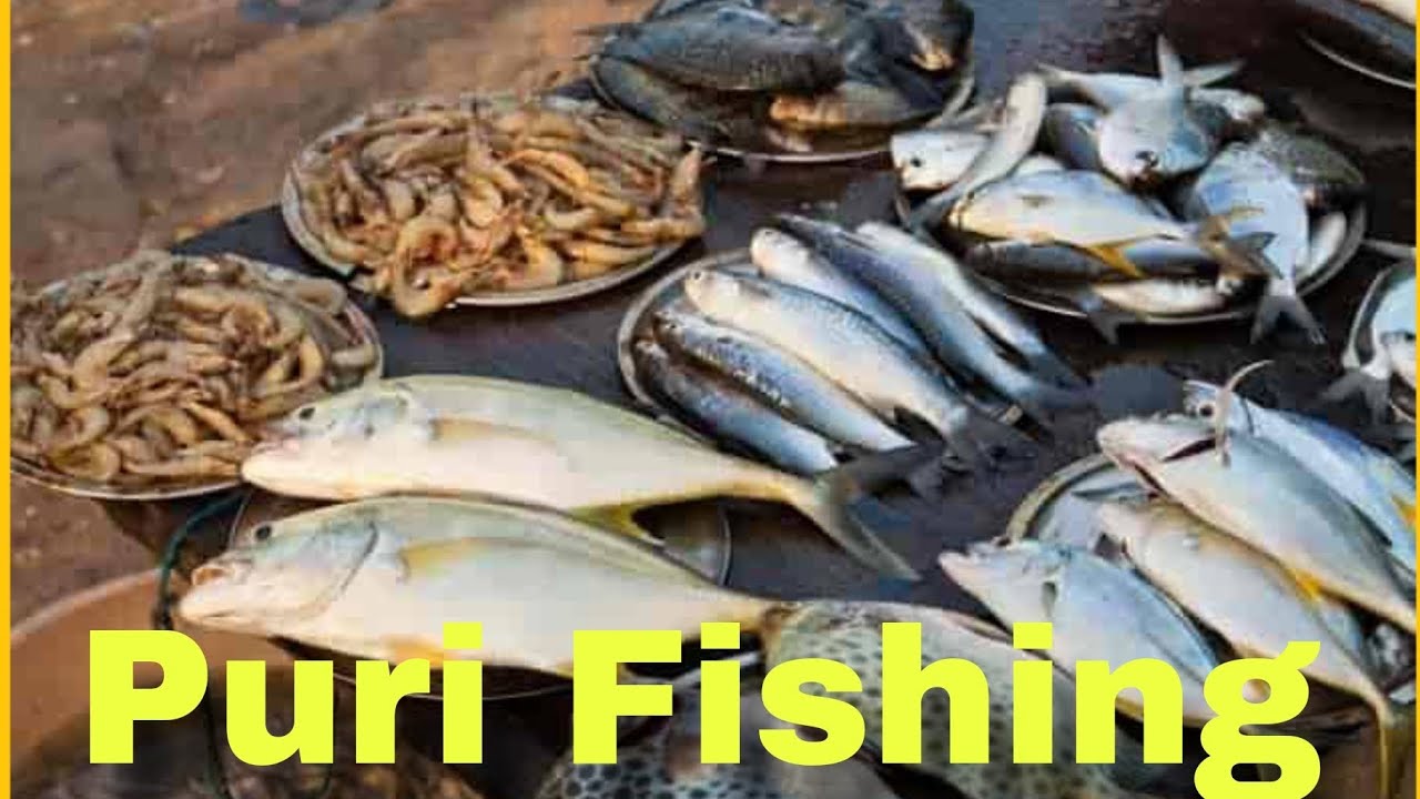 My first vlog 🙂 || my first vlog in Puri fishing on beach - YouTube