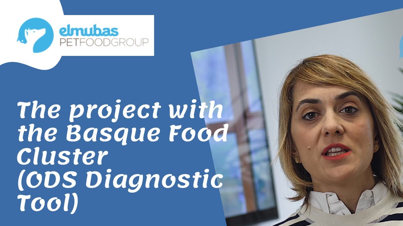 The project with the Basque Food Cluster (ODS Diagnostic Tool) - YouTube