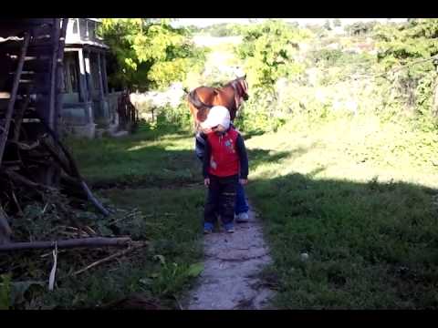 vaduva mario andrei - YouTube