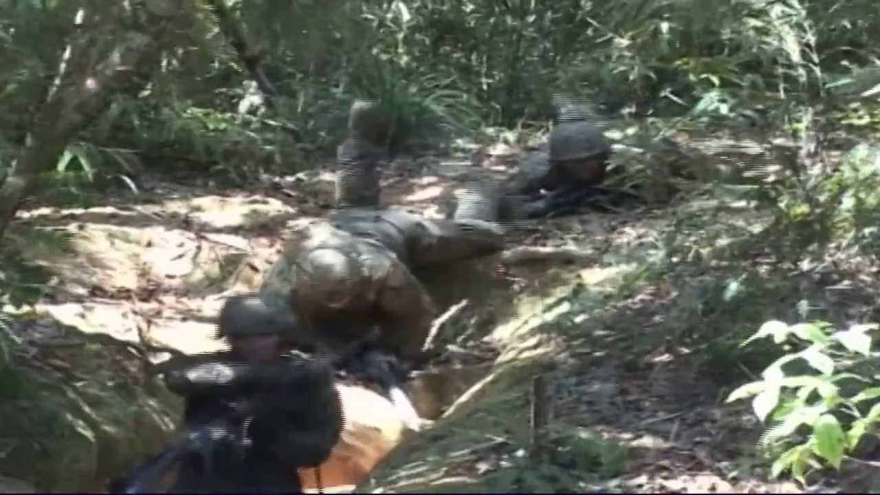 Marines and Sailors Train At Jungle Warfare Training Center - YouTube