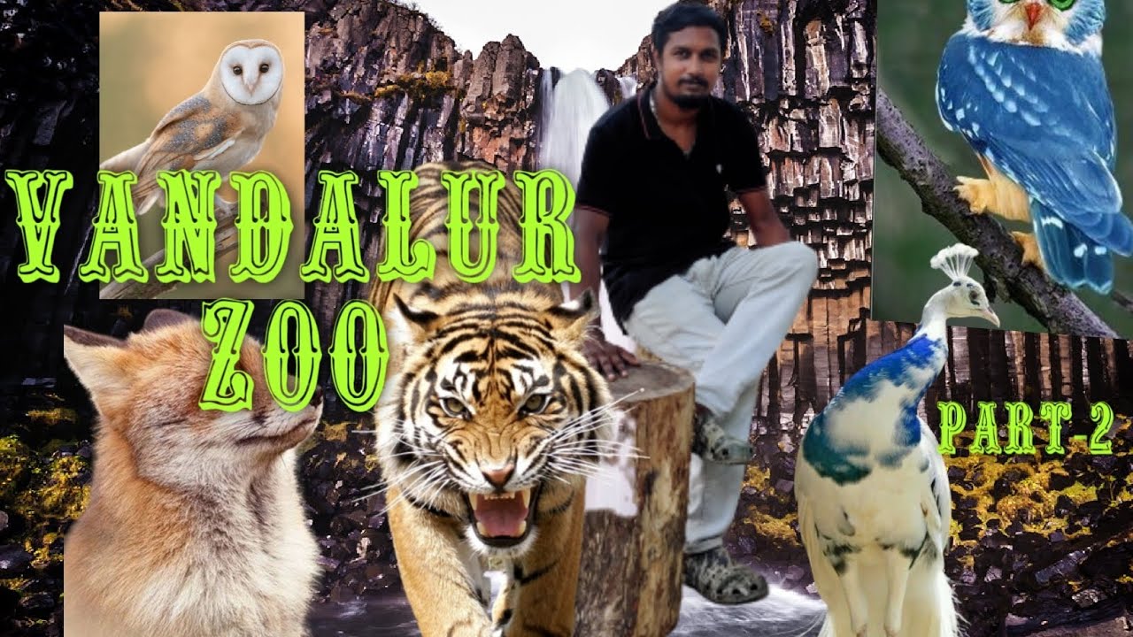 vandalur zoo part-2 || Arignar Anna Zoological park || tamilnadu ...
