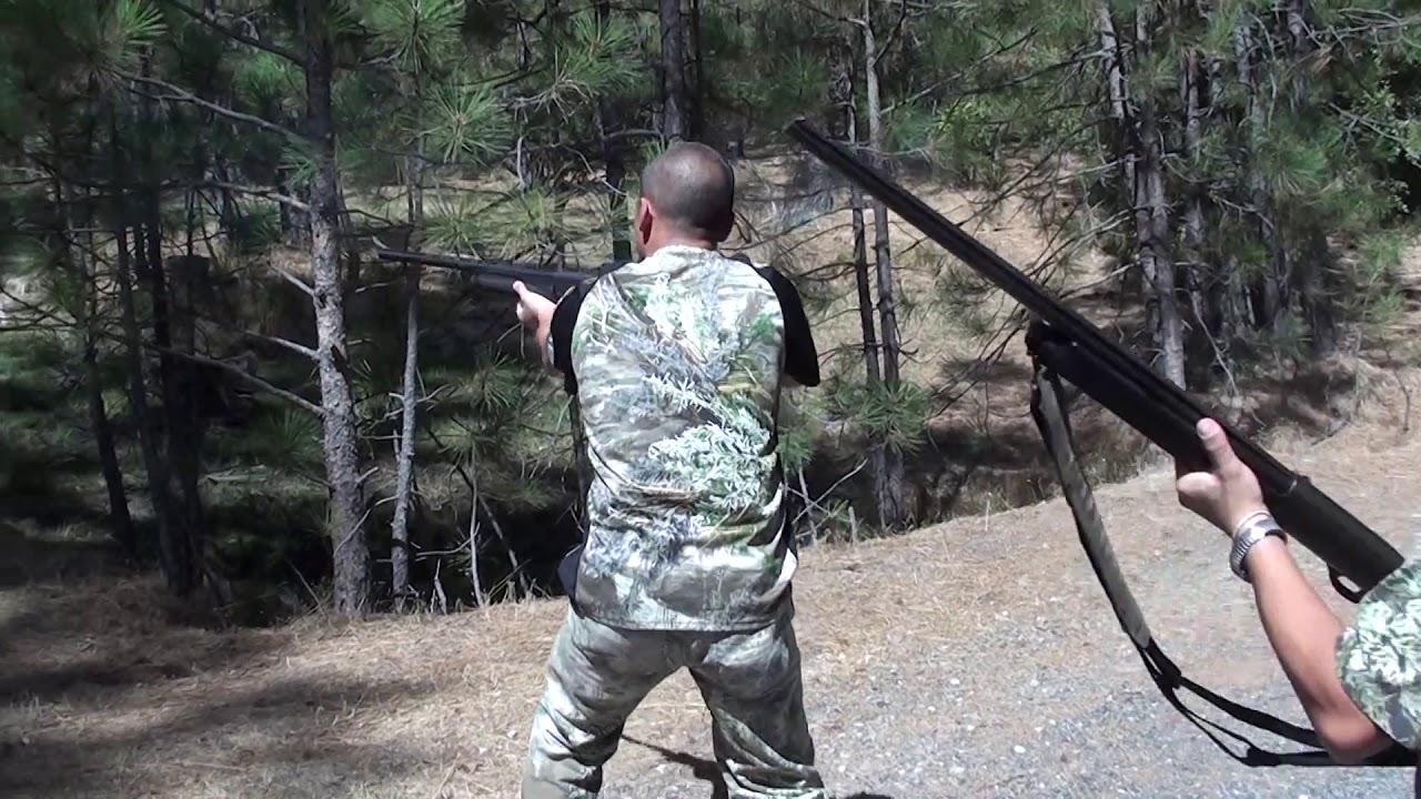 Kali Western Gray Squirrel Hunting Memories - YouTube