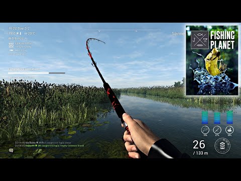 Strike Berkali-Kali Mancing Di Rawa-Rawa | Fishing Planet Indonesia