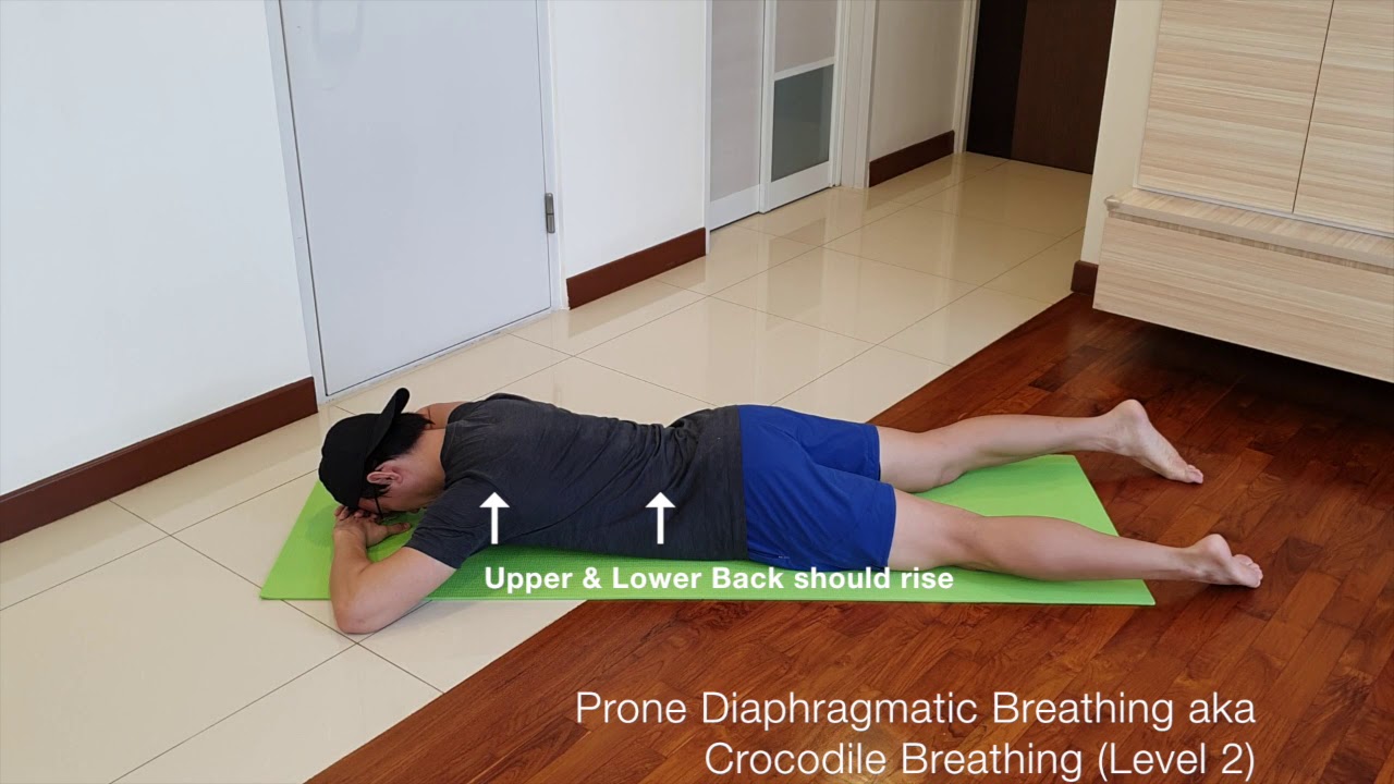 Prone Diaphragmatic Breathing aka Crocodile Breathing (Level 2) - YouTube