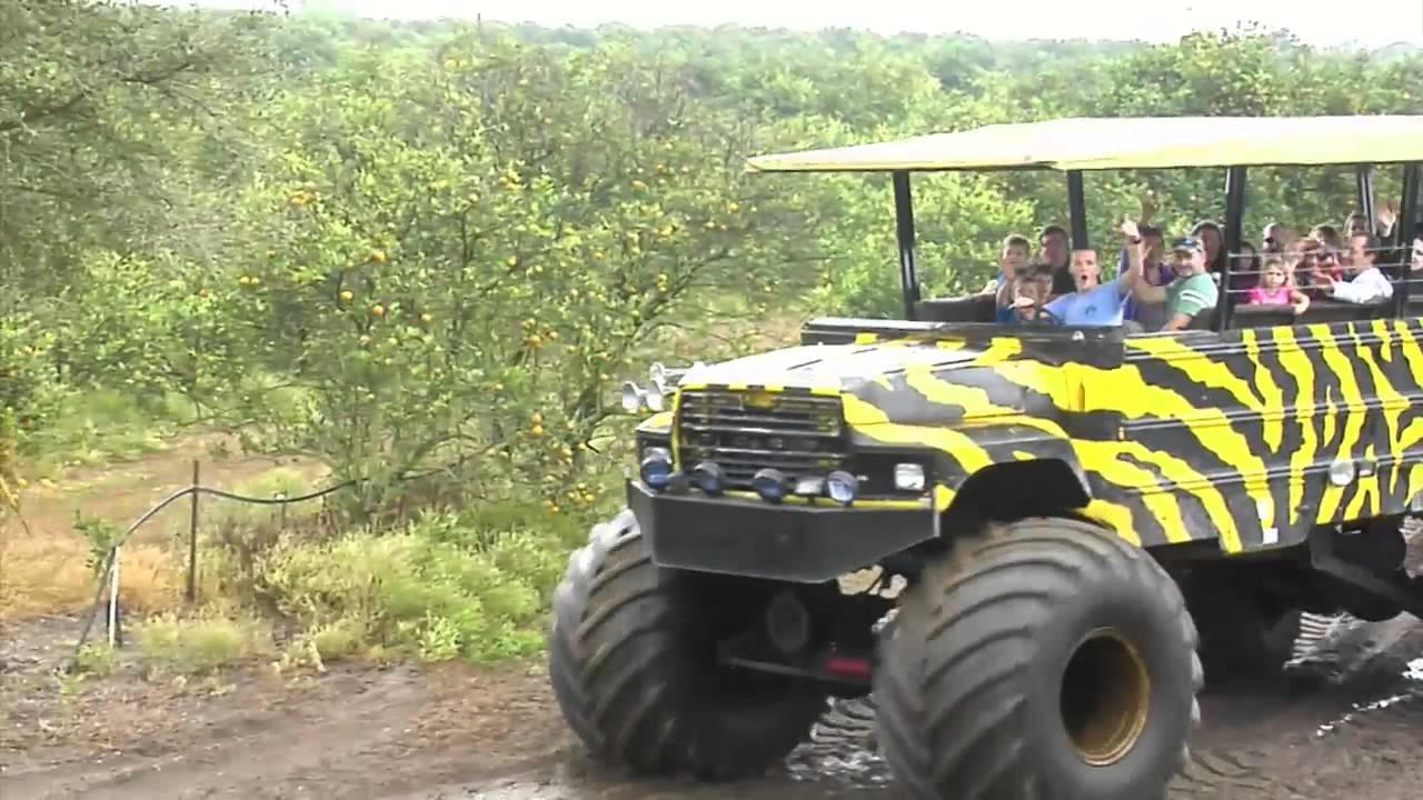 Gray Line Orlando Monster Truck through the Orange Groves - YouTube