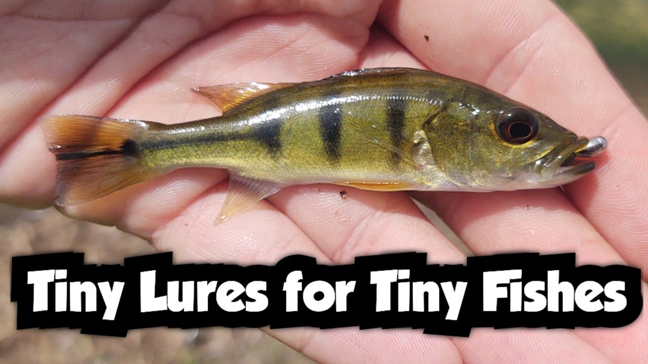 Fishing Tiny Lures for Tiny Fishes - YouTube
