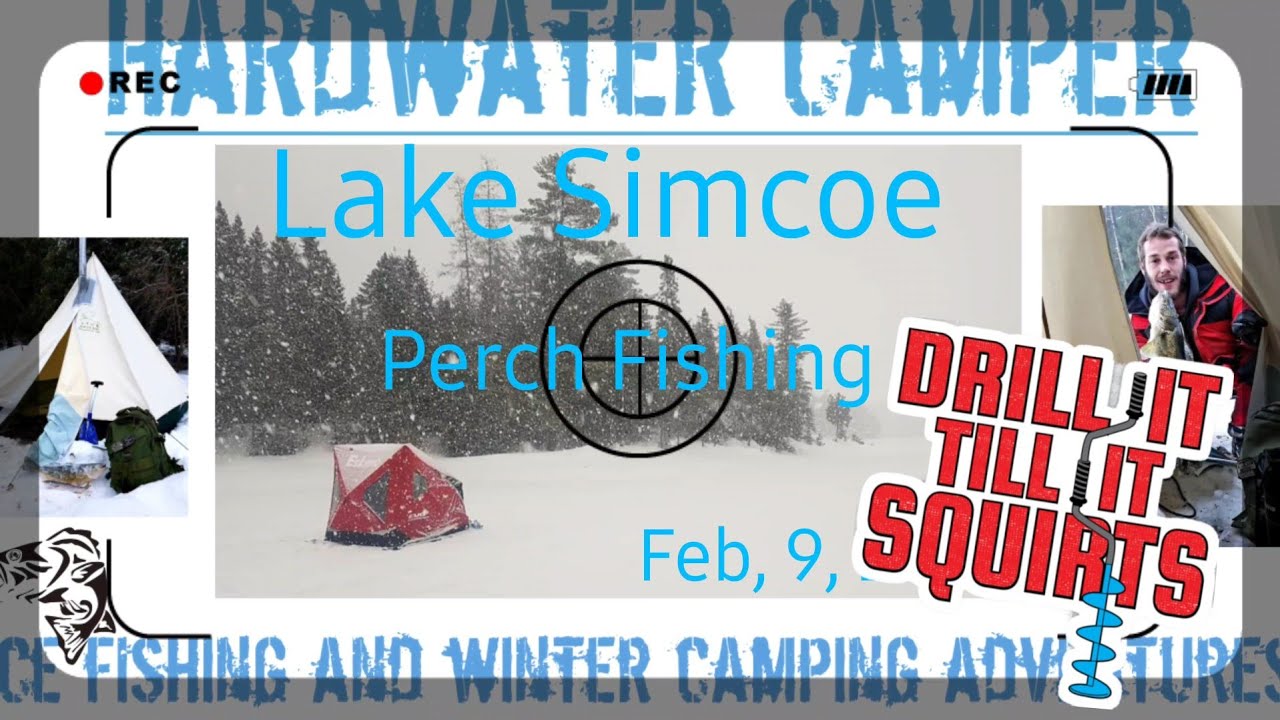 Lake Simcoe ice fishing Perch 2020 - YouTube