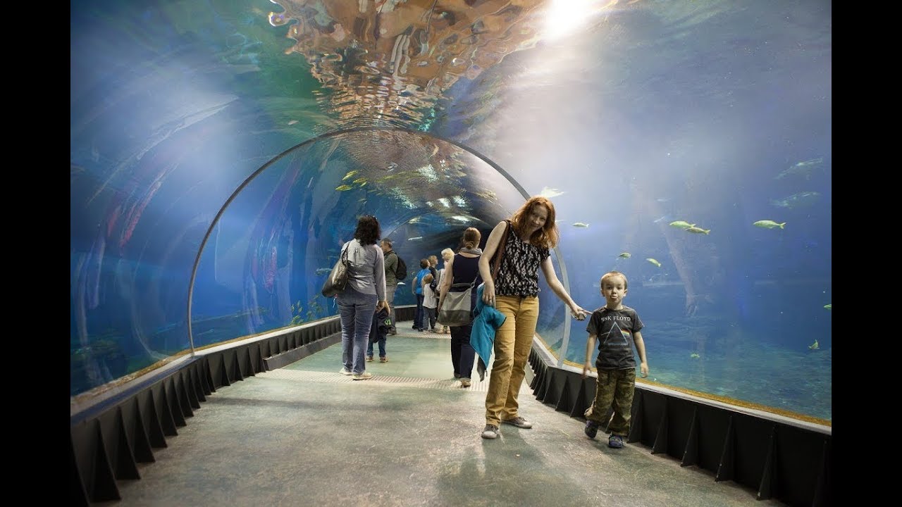 Europe's biggest Zoo , Poland ,Wroclaw ,underwater cave - YouTube