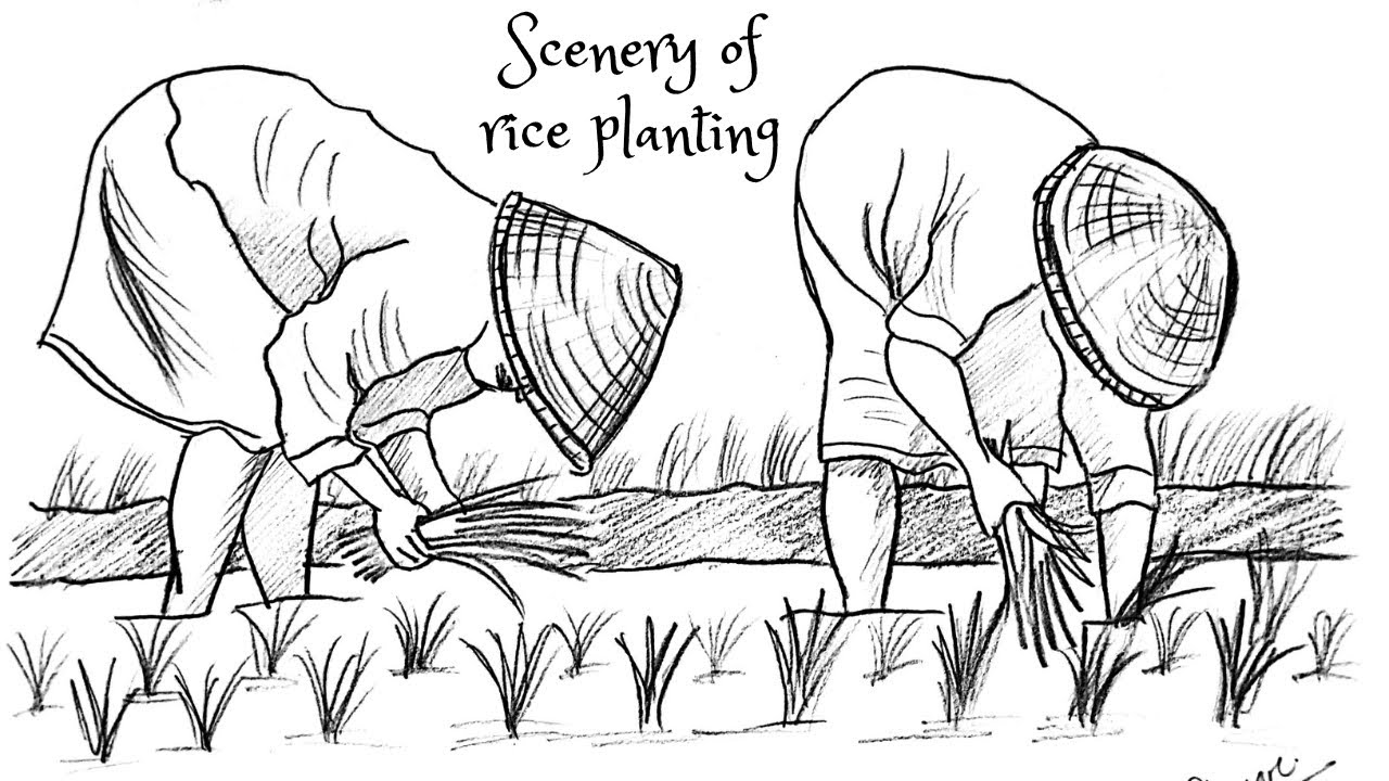 Overview Of Farming Activities