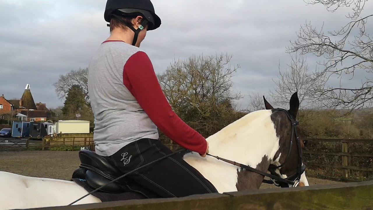 Dean Milligan & Taylors Minstrel, E-riders Prelim 18, December 2019 ...