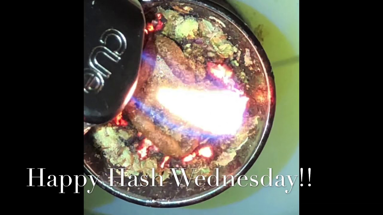 Hash Wednesdays!🔥 - YouTube