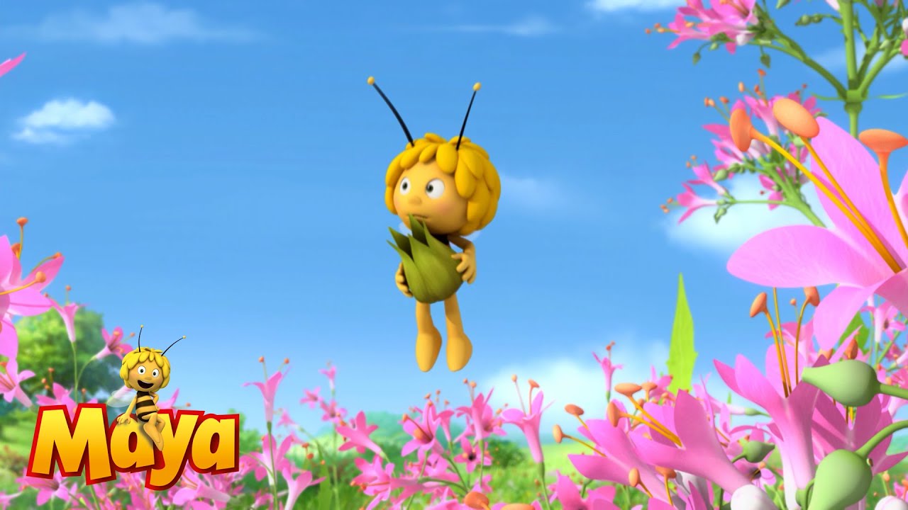 Flower paradise - Maya the bee🍯🐝 - YouTube