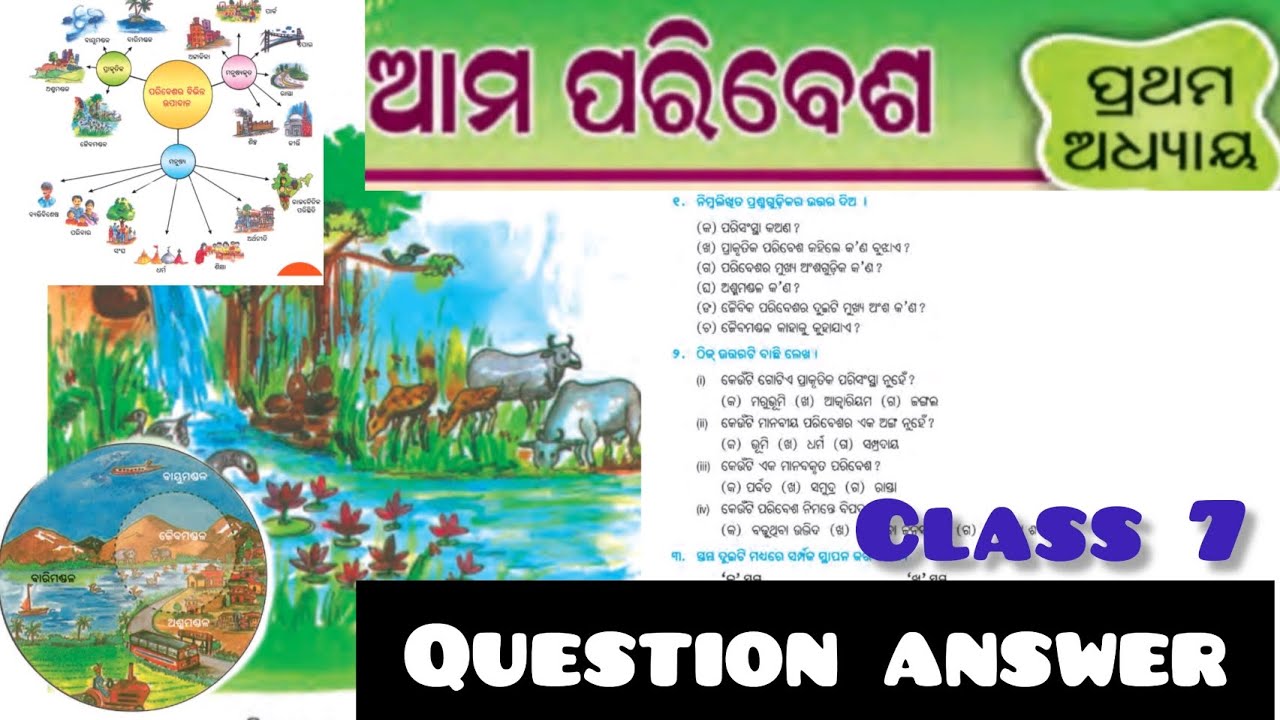 class 7 | Geography | chapter -1| Question answer |Aama paribesha (odia ...