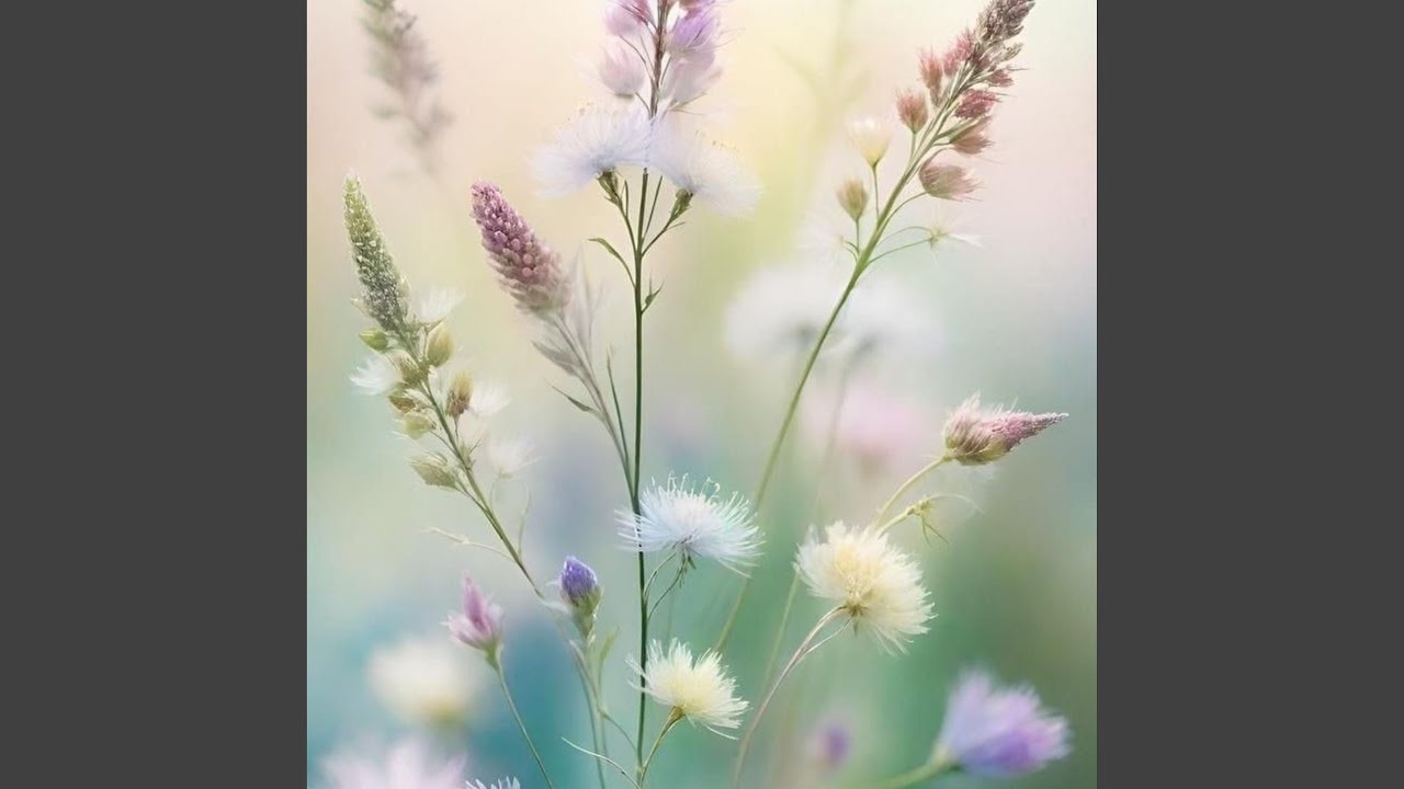 Slow Train Home - YouTube