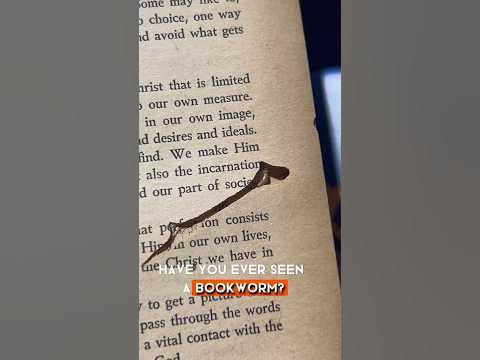 Is a Bookworm an actual worm? Ever seen one? #bookworm #bookworms # ...