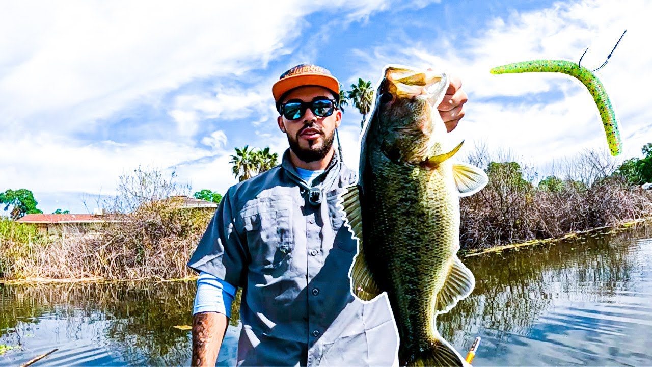 POND HOPPING FOR BIG LARGEMOTH BASS!!! (SNAKE ENCOUNTER) - YouTube