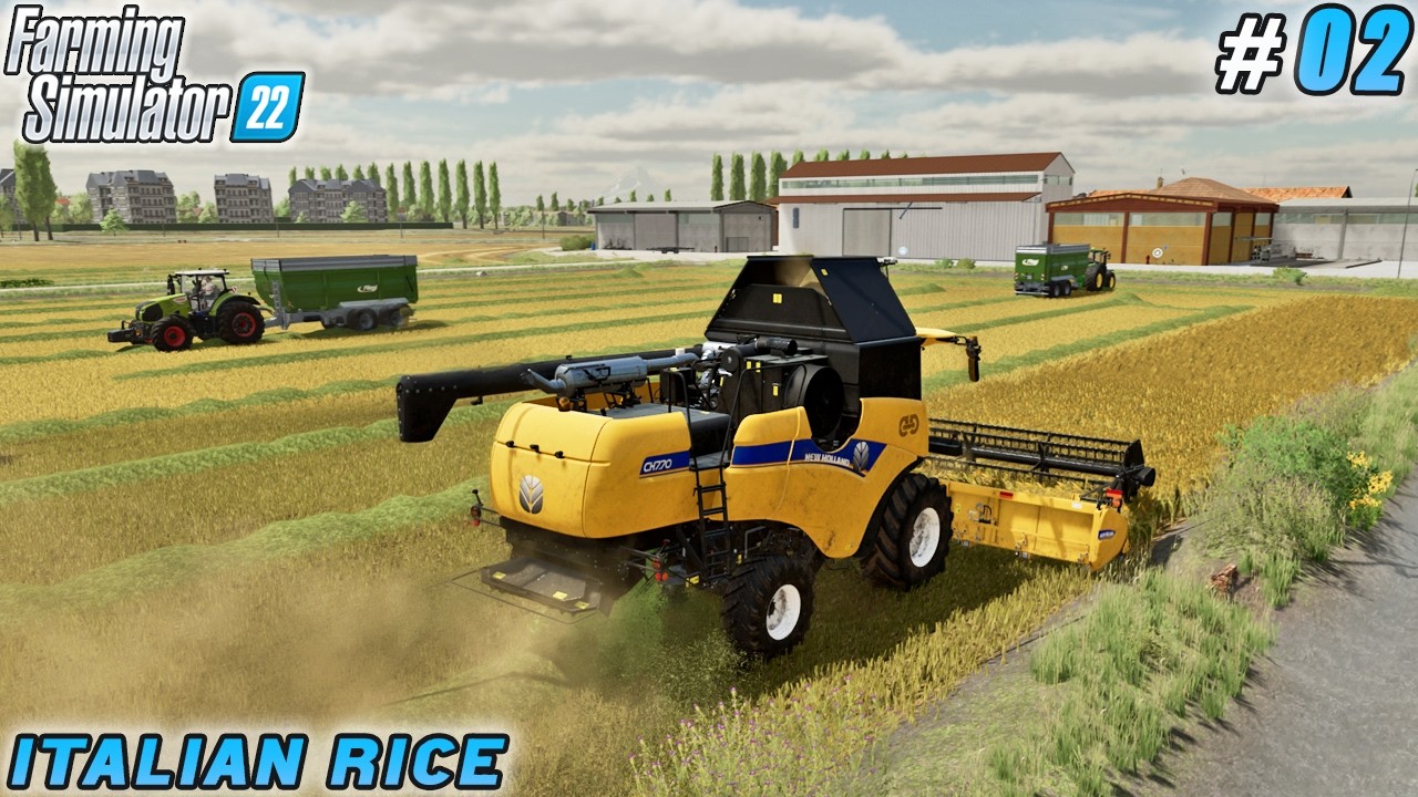 How Different Rice Varieties Are Harvested and Processed | Italian Rice ...