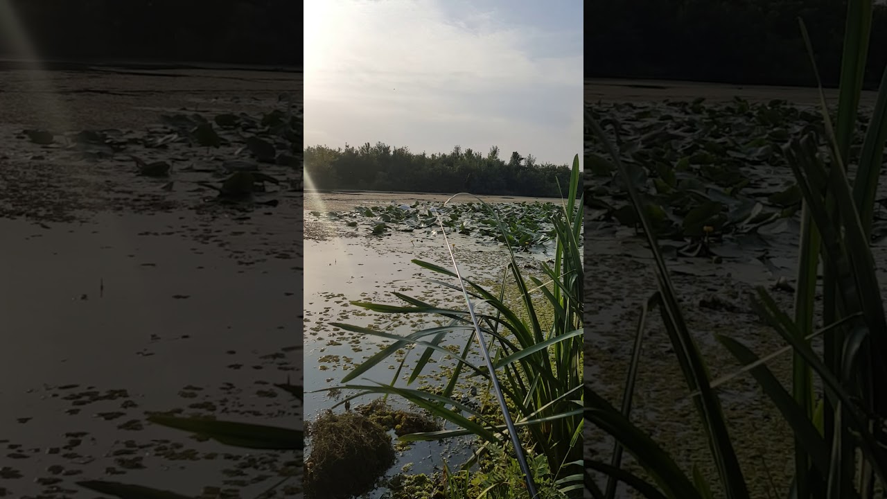 Netaknuta priroda - YouTube