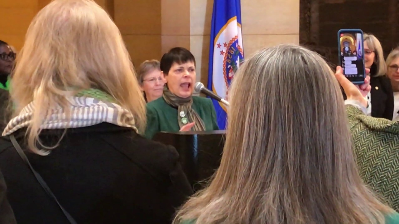 ERA 2019 Rally Senator Sandra Pappas - YouTube
