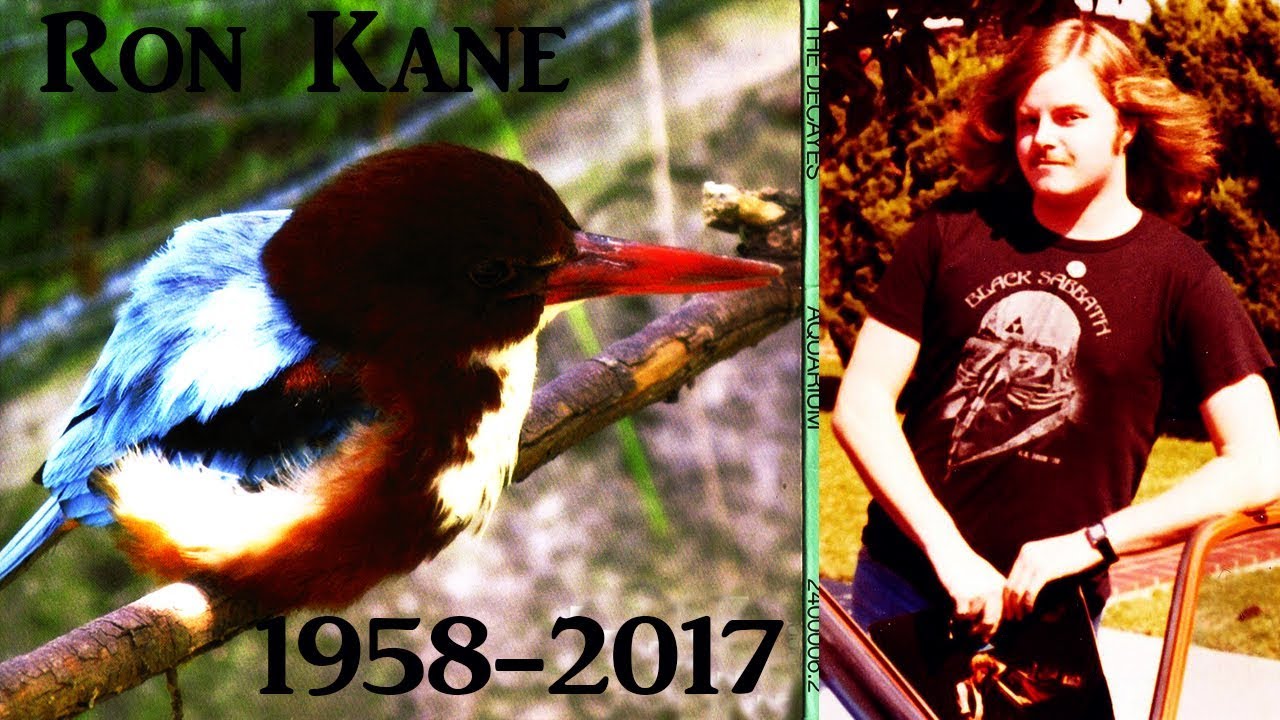 RON KANE (1958-2017), It Was All About The Music - YouTube